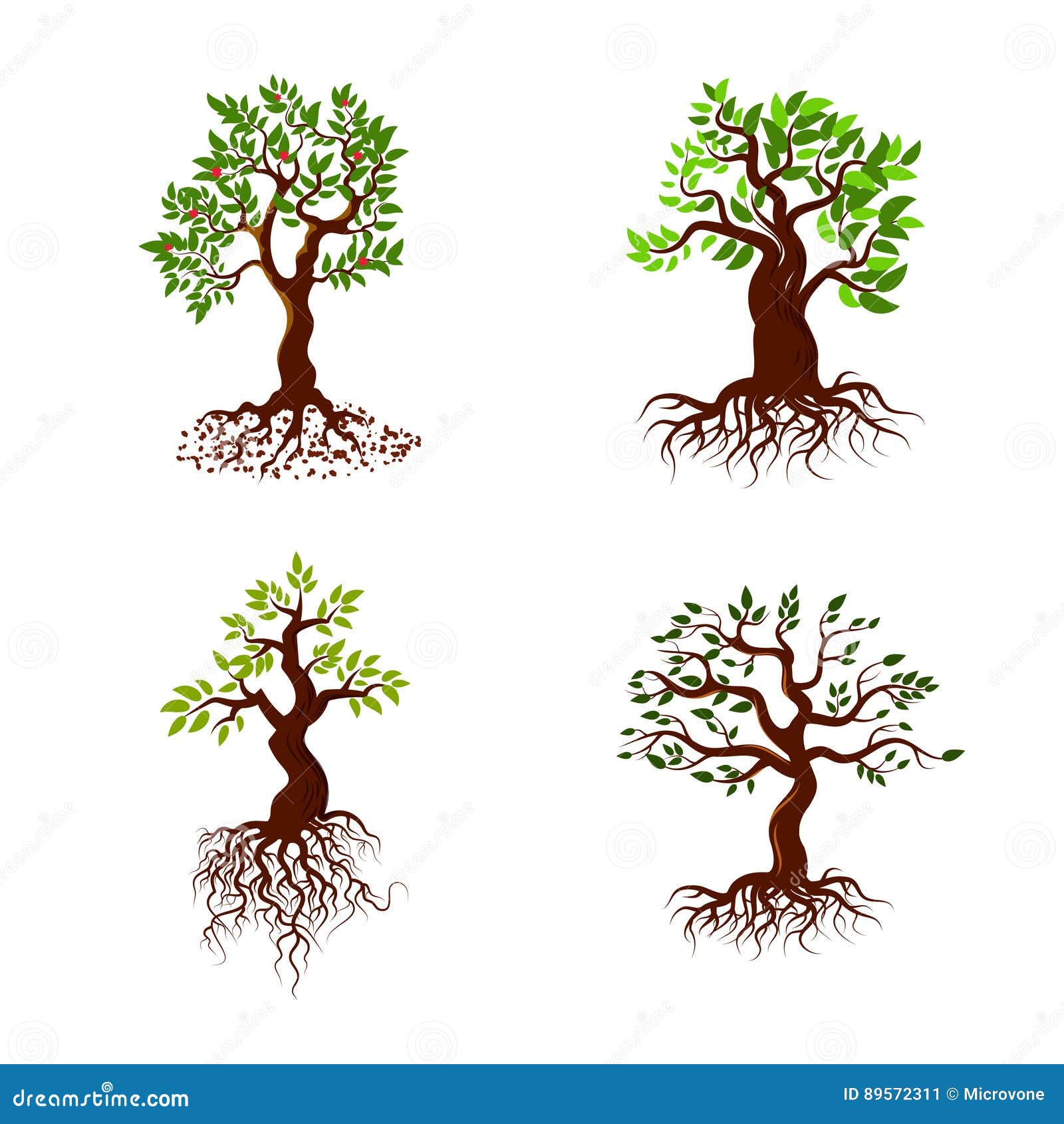 Trees with Green Leaves and Roots Vector Tree Planting Collection Stock ...