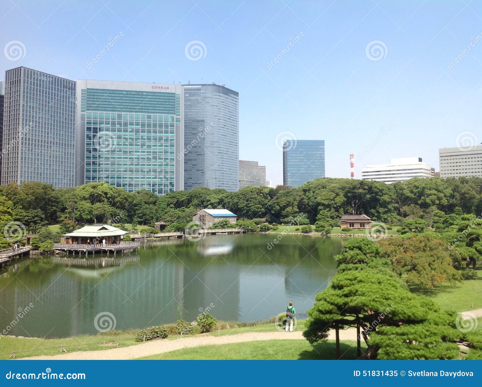 Trees in a Green Park in Tokyo Editorial Image - Image of reservoir ...