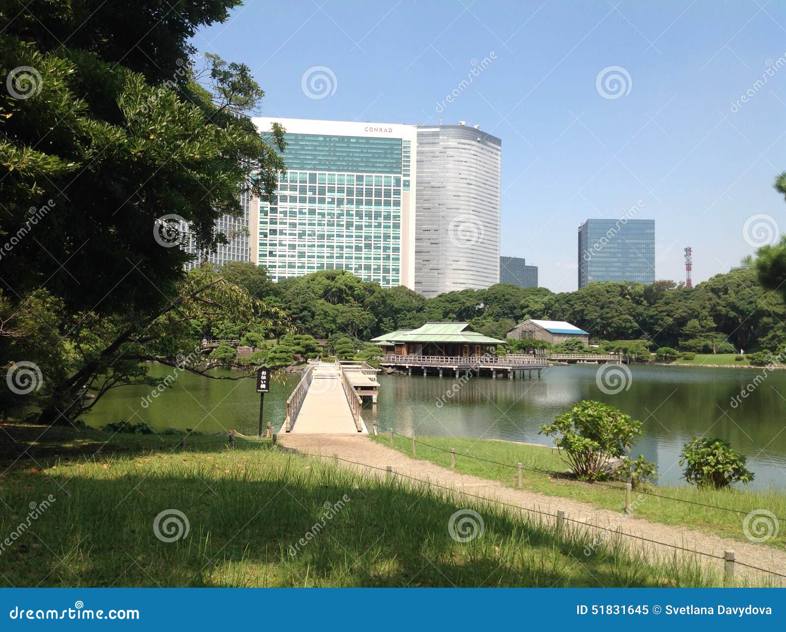 Trees in a Green Park in Tokyo Editorial Image - Image of architecture ...