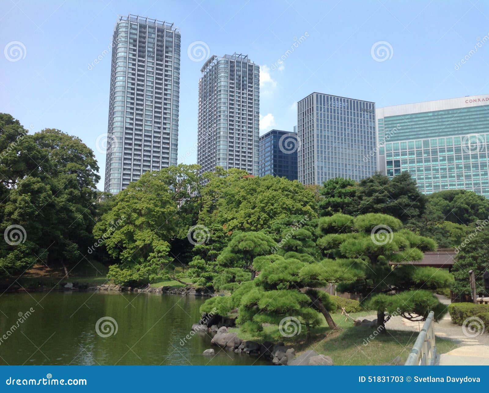 Trees in a Green Park in Tokyo Editorial Stock Photo - Image of tokyo ...