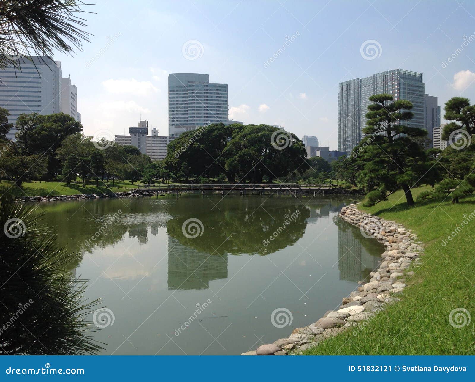 Trees in a Green Park in Tokyo Editorial Photo - Image of daytime ...