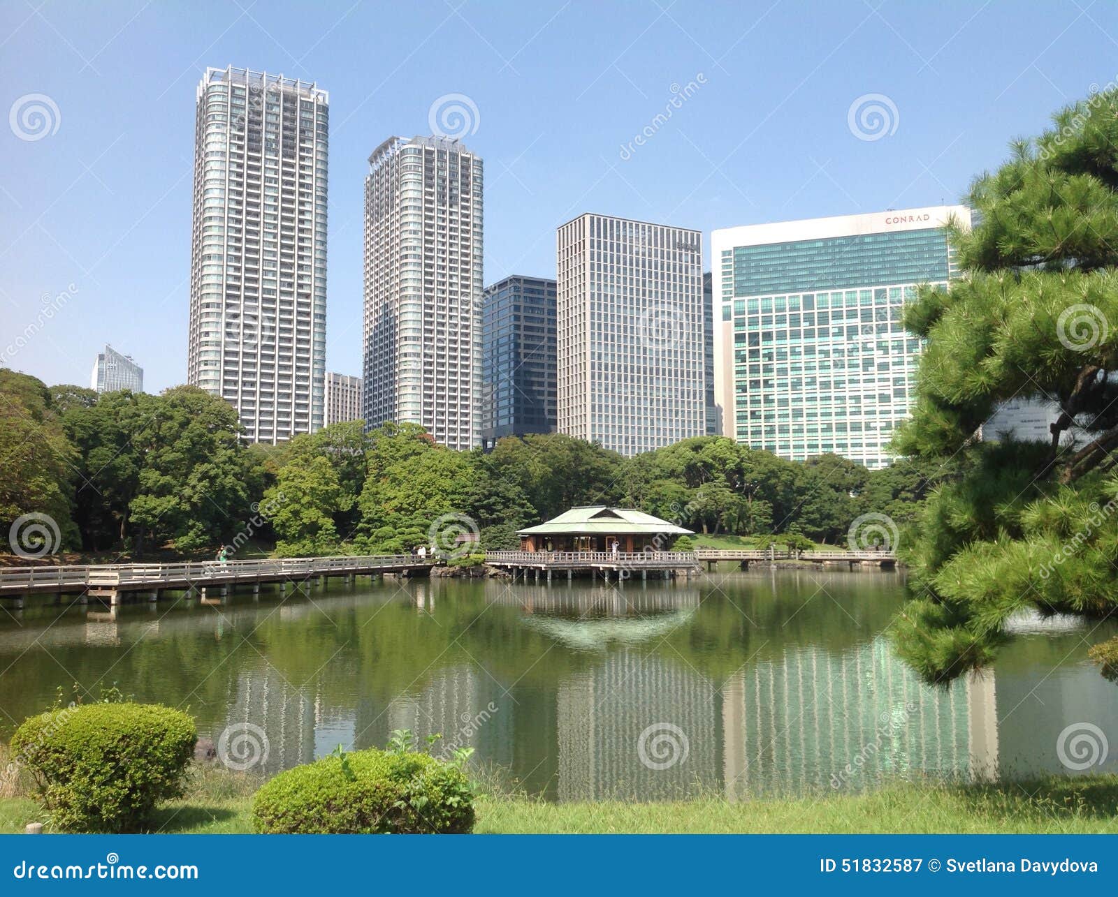 Trees in a Green Park in Tokyo Editorial Photography - Image of ...