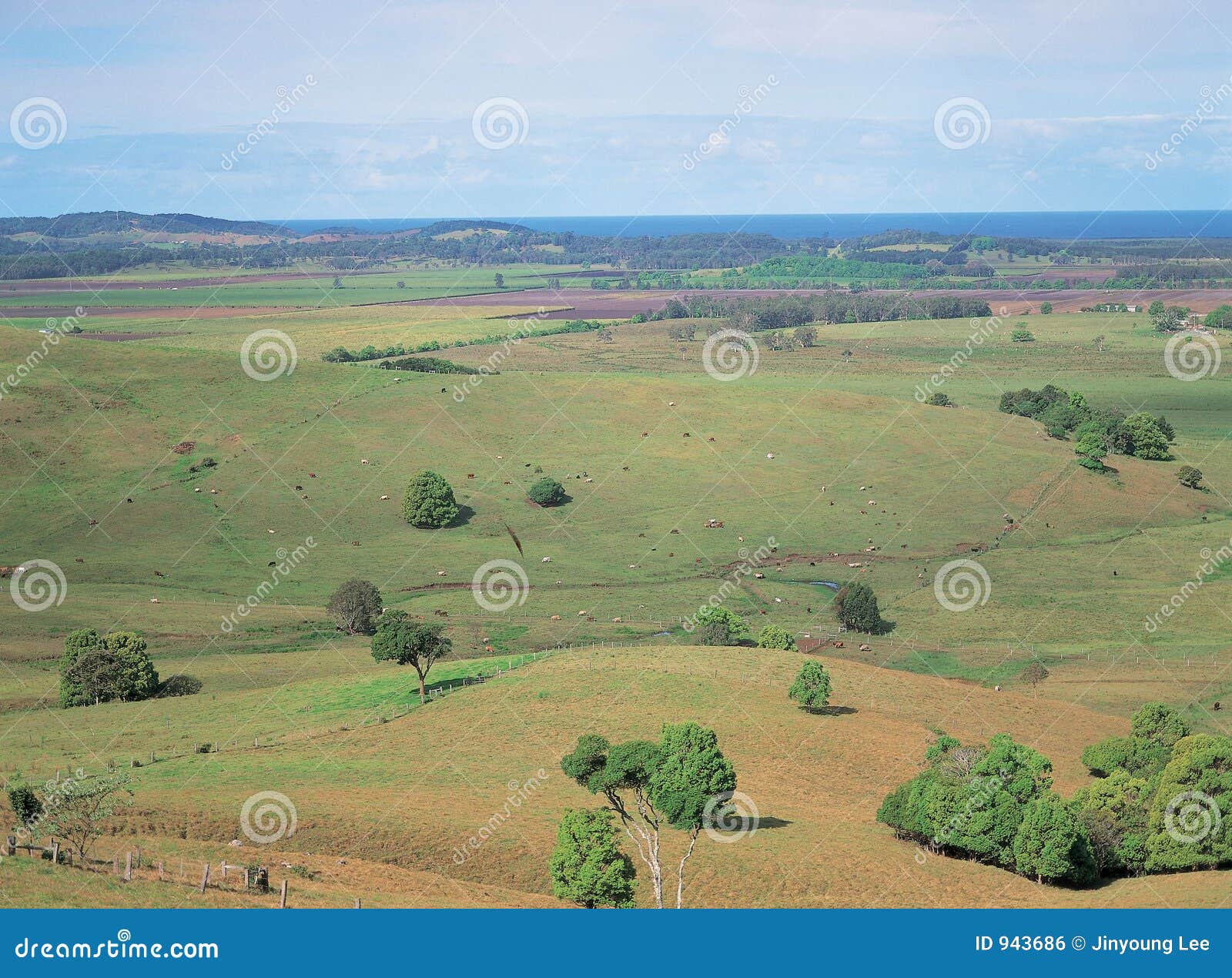 Trees on Ground stock photo. Image of glass, clouds, white - 943686
