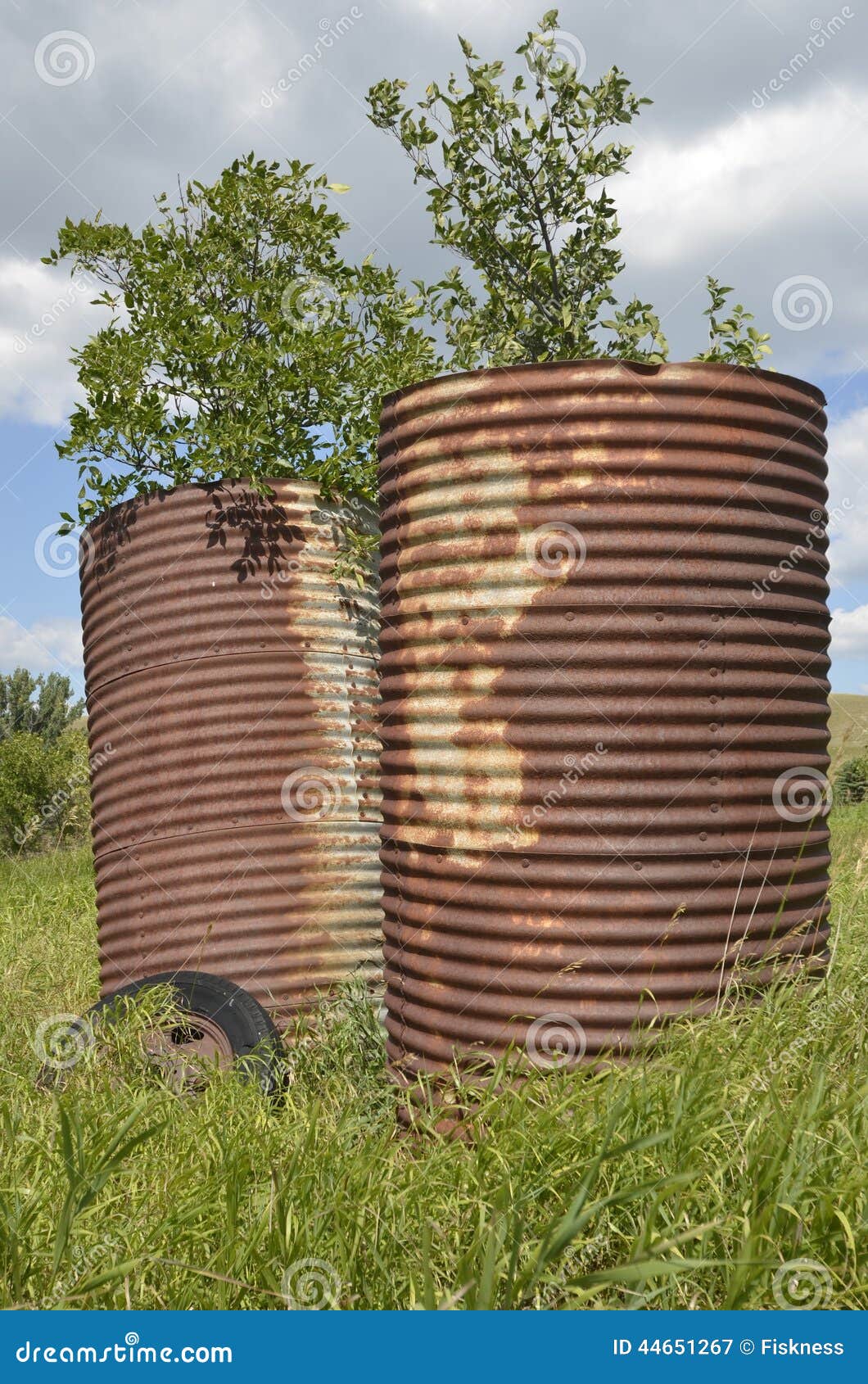 Old Culvert In Farm Field Stock Photo | CartoonDealer.com #123233520
