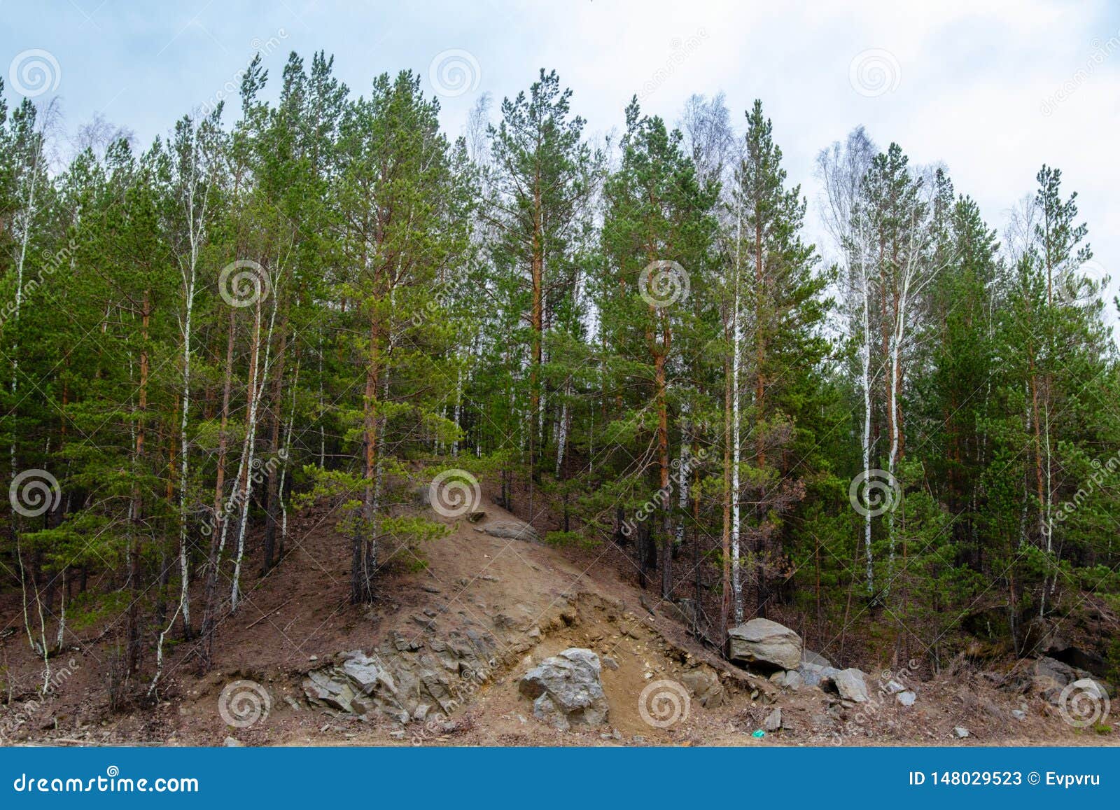 Trees Grow on Top of a Hill Stock Image - Image of view, blue: 148029523