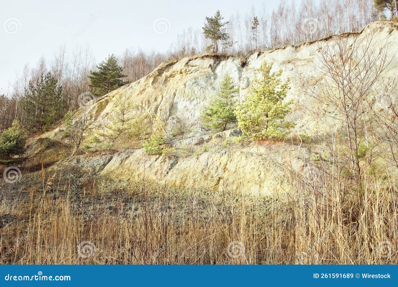 Trees Growing on a Cliff in Autumn. Stock Image - Image of beautiful ...