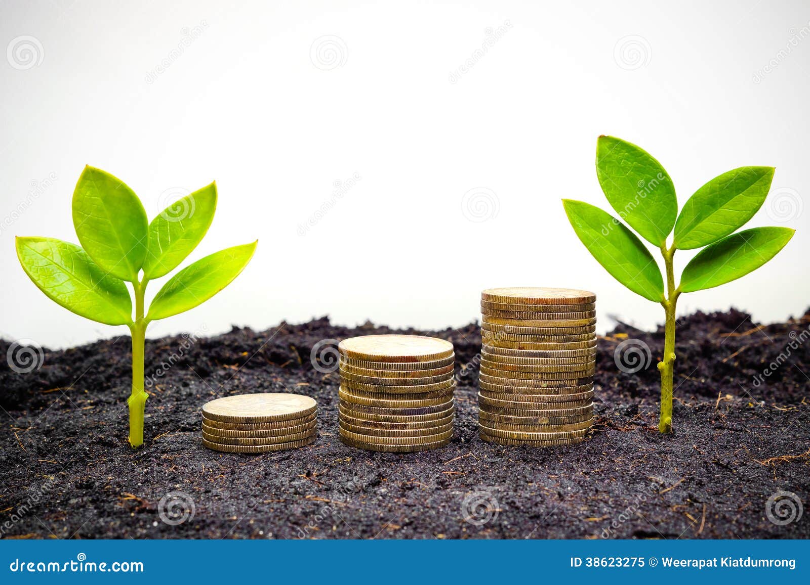 Trees growing on coins stock image. Image of conservation - 38623275