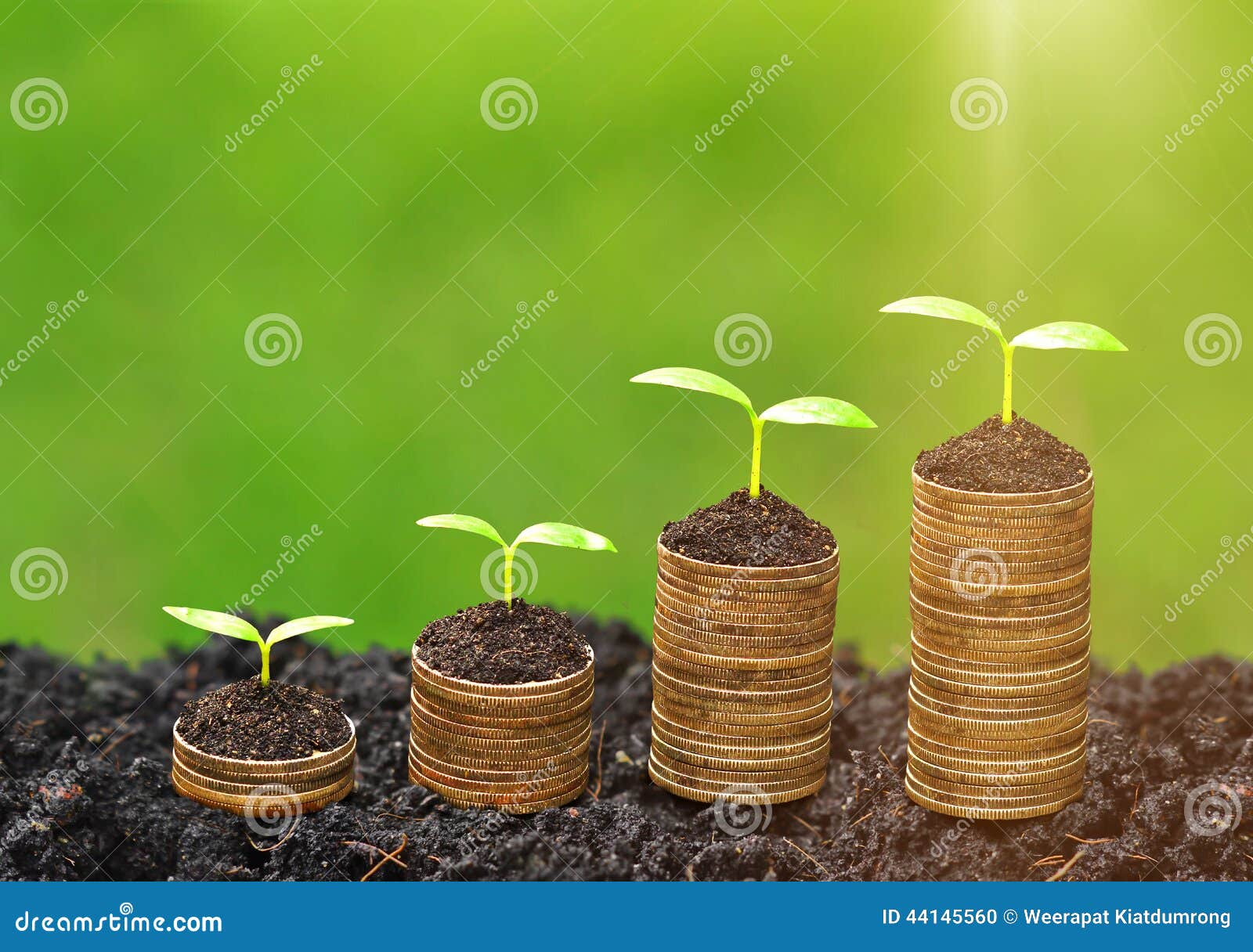 Trees growing on coins stock photo. Image of gardener - 44145560