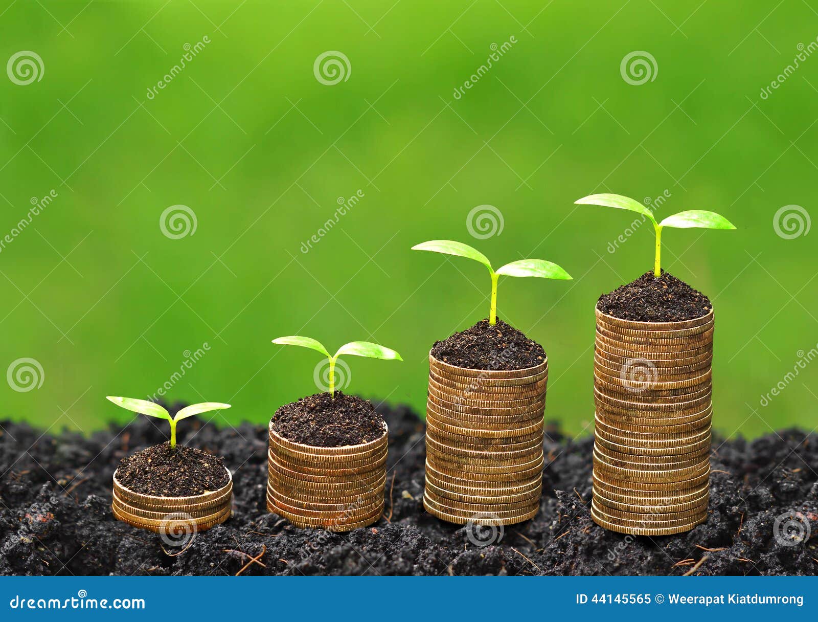 Trees growing on coins stock image. Image of concept - 44145565