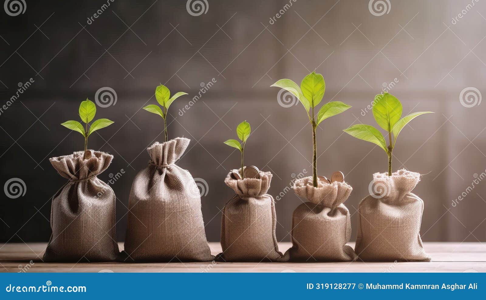 Trees are Growing from Money Bags and Trees Growing on a Pile of Money ...