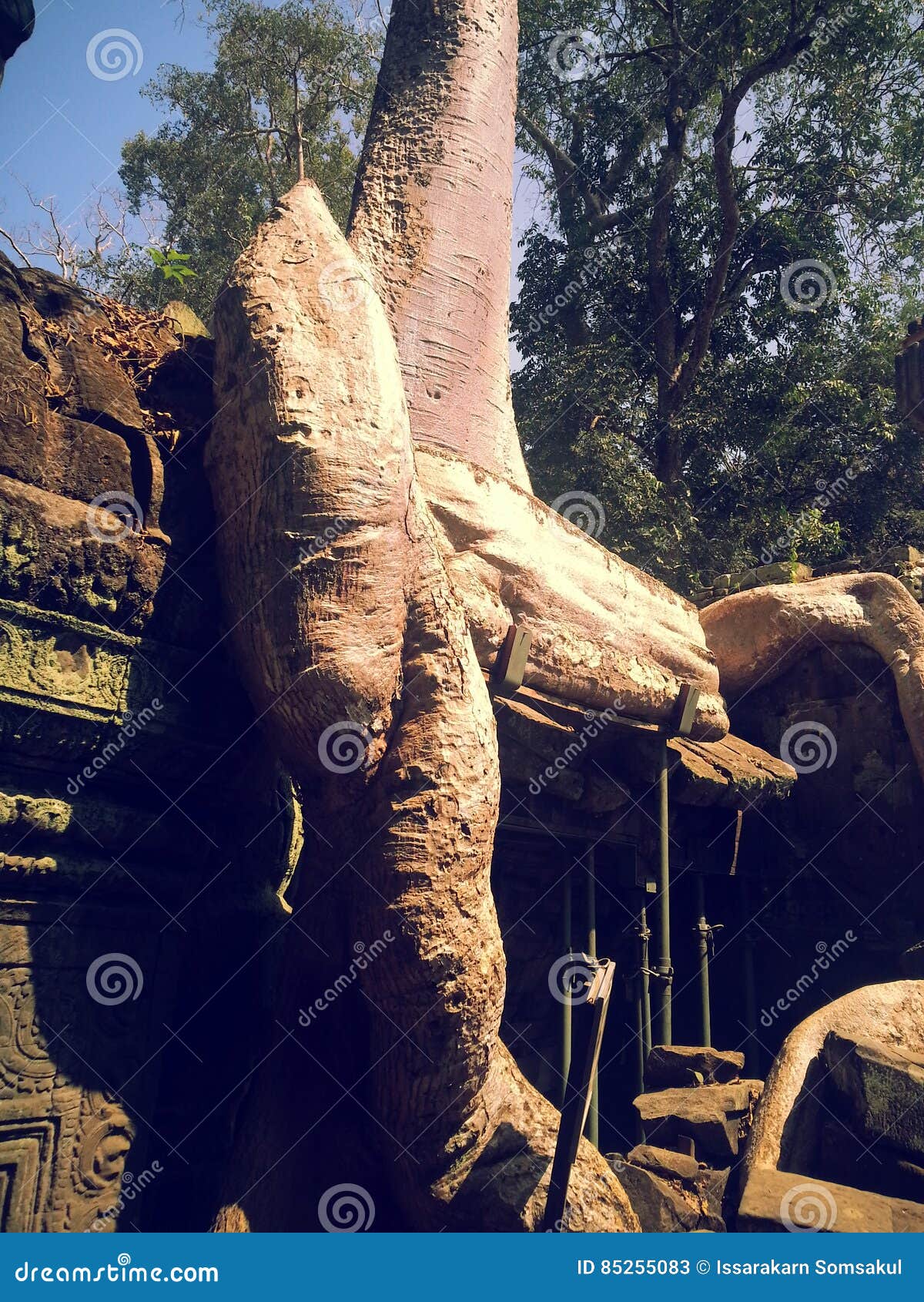 The Trees Growing Out of the Ruins are Perhaps the Most Distinctive ...