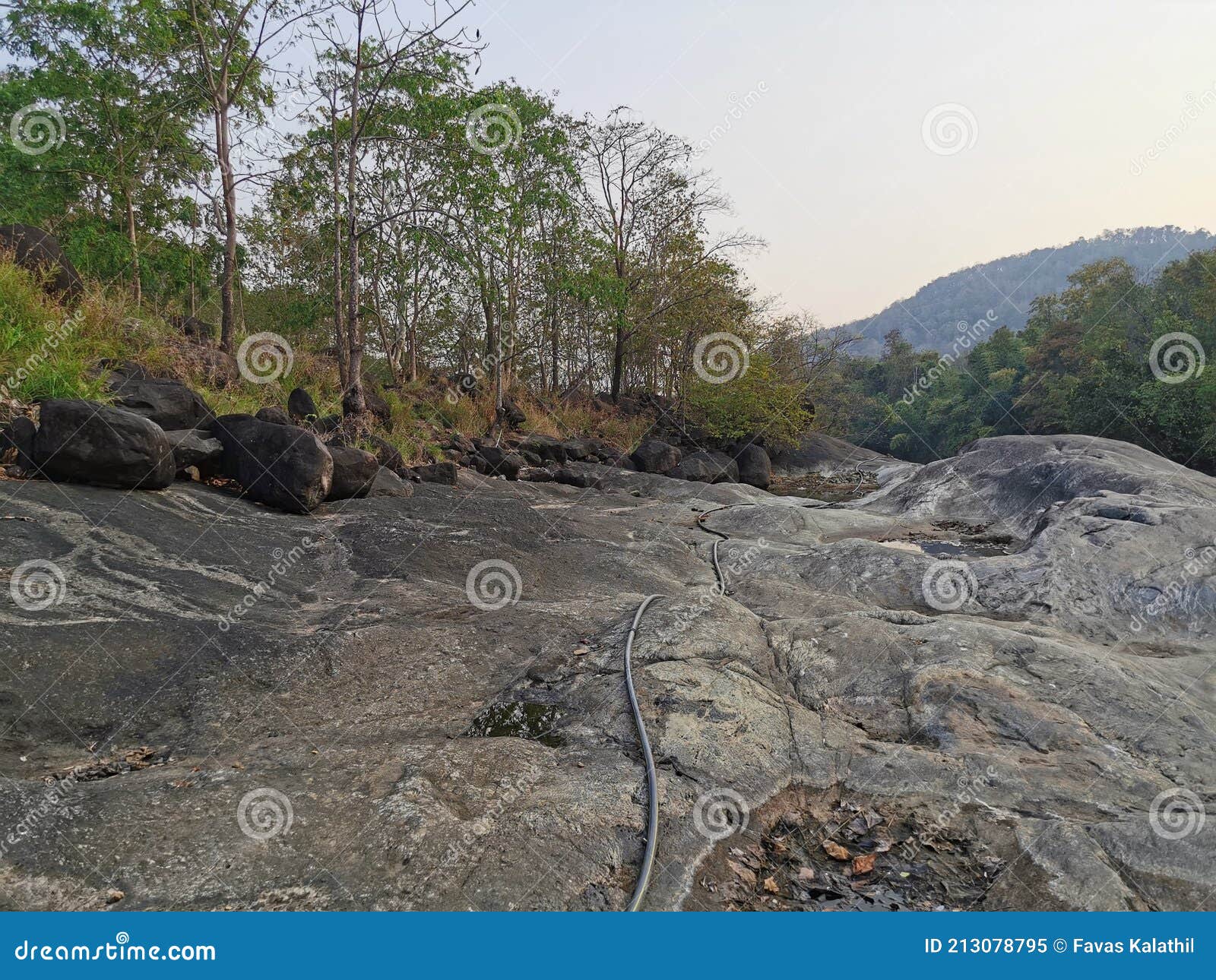 Trees Growing Over Huge Rock Stock Image - Image of ridge, soil: 213078795