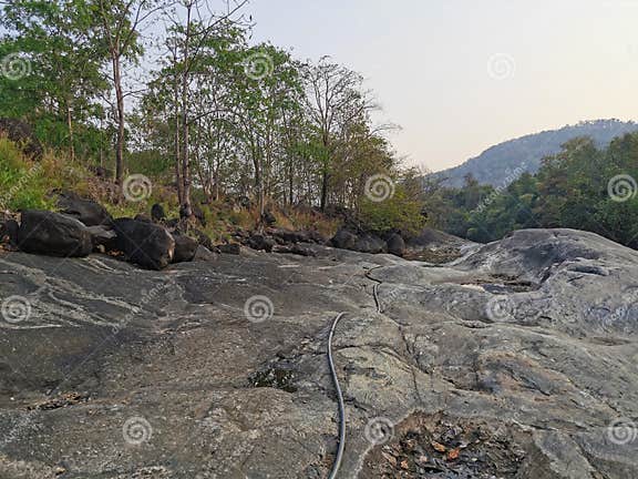 Trees Growing Over Huge Rock Stock Image - Image of ridge, soil: 213078795