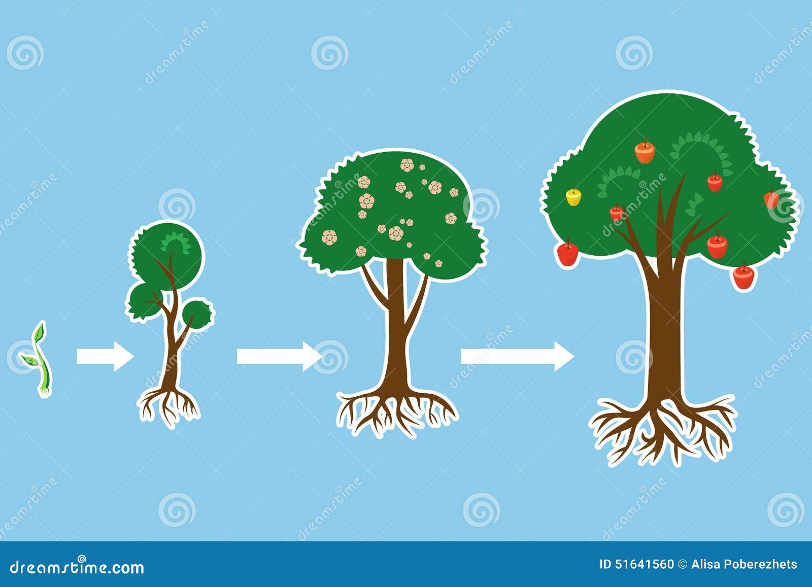 Trees4 stock vector. Illustration of branch, flat, fruiting - 51641560