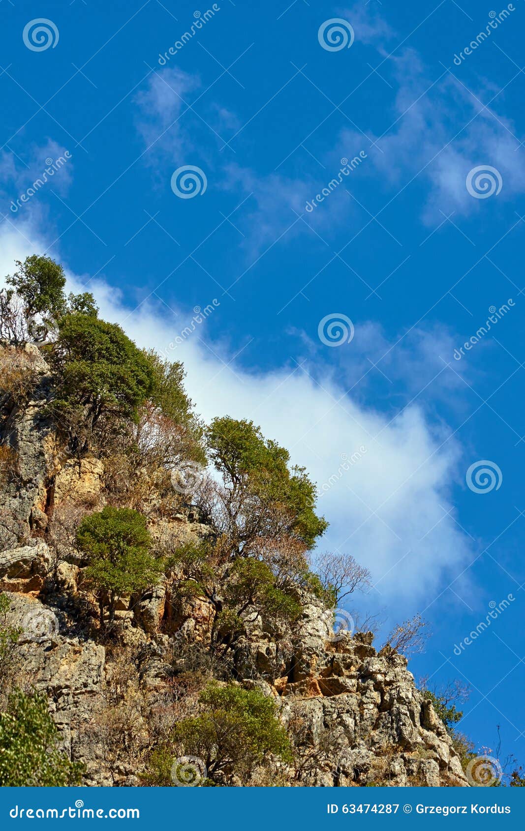 Trees Growing on a Rocky Hillside Stock Image - Image of ravine, stone ...
