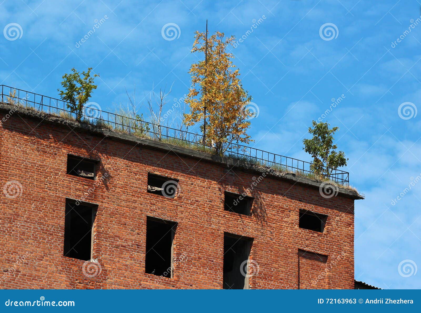 Trees Growing on Rooftop of Old Abandoned Building Stock Image - Image ...
