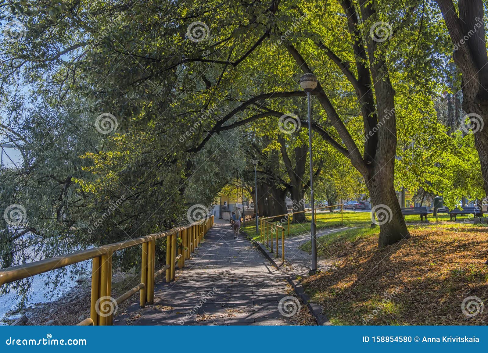 Trees Growing Along the Promenade Stock Photo - Image of peaceful ...