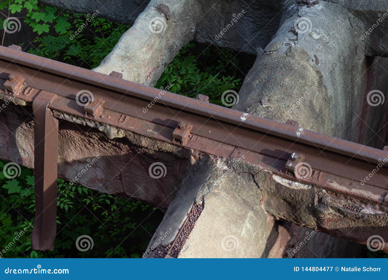 Trees Growing Under an Elevated Train Track Stock Image - Image of ...