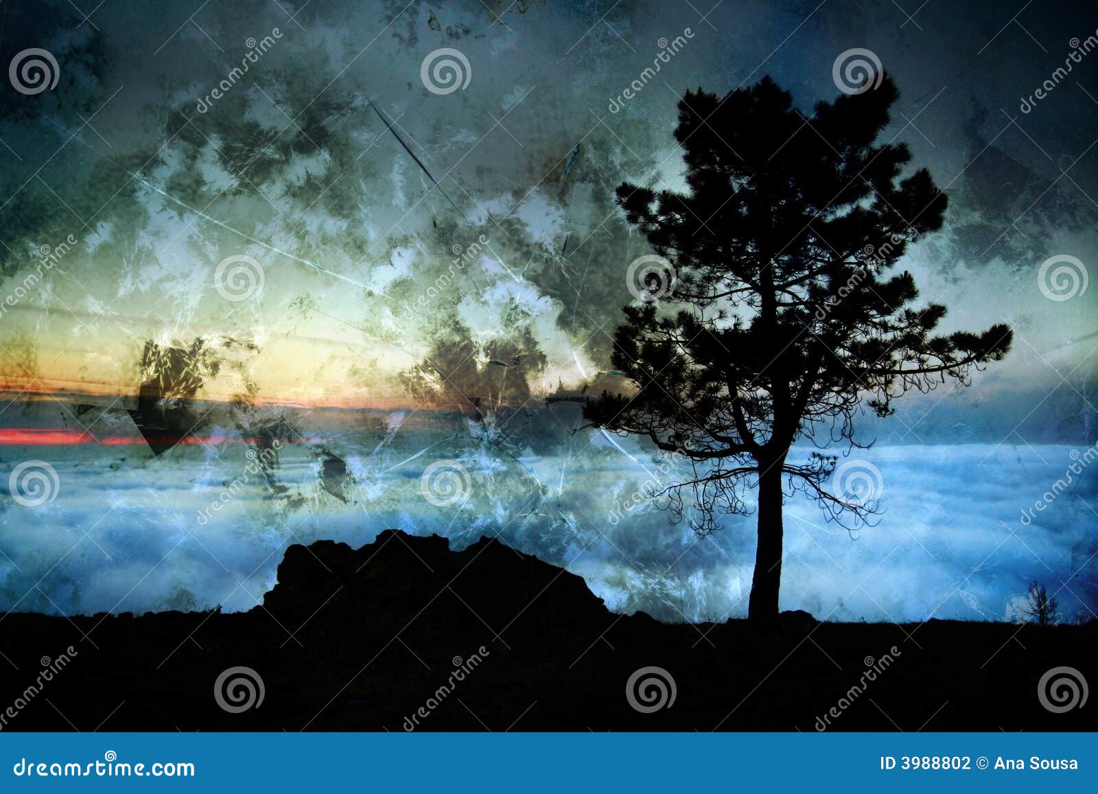 Trees Grunge Background Picture. Image: 3988802