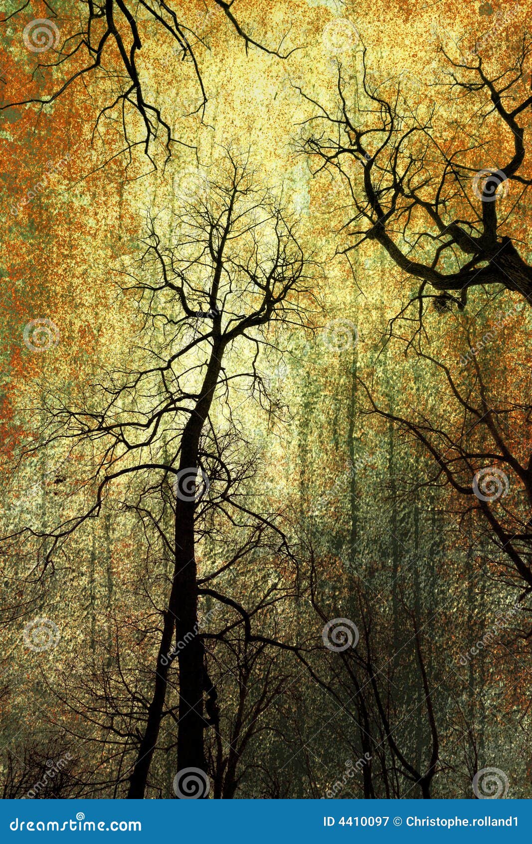 Trees on grunge background stock image. Image of grungy - 4410097