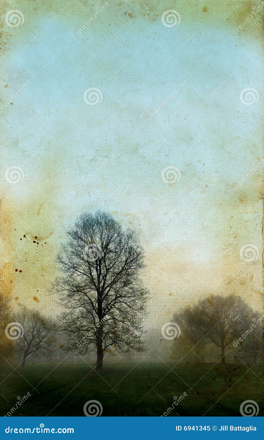 Trees on a Grunge Background Stock Image - Image of park, trees: 6941345