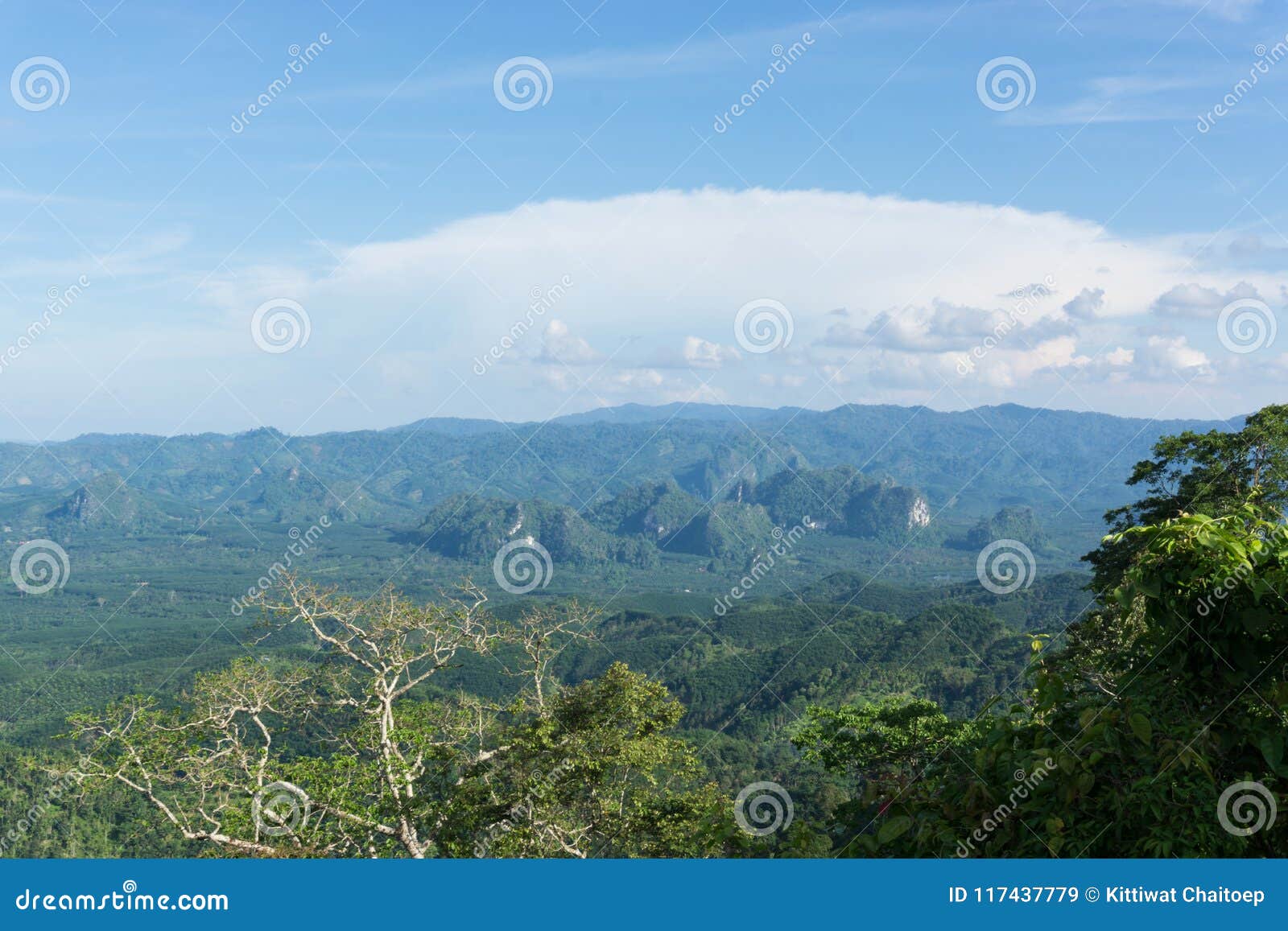 Forests make a fresh air stock image. Image of adventure - 117437779