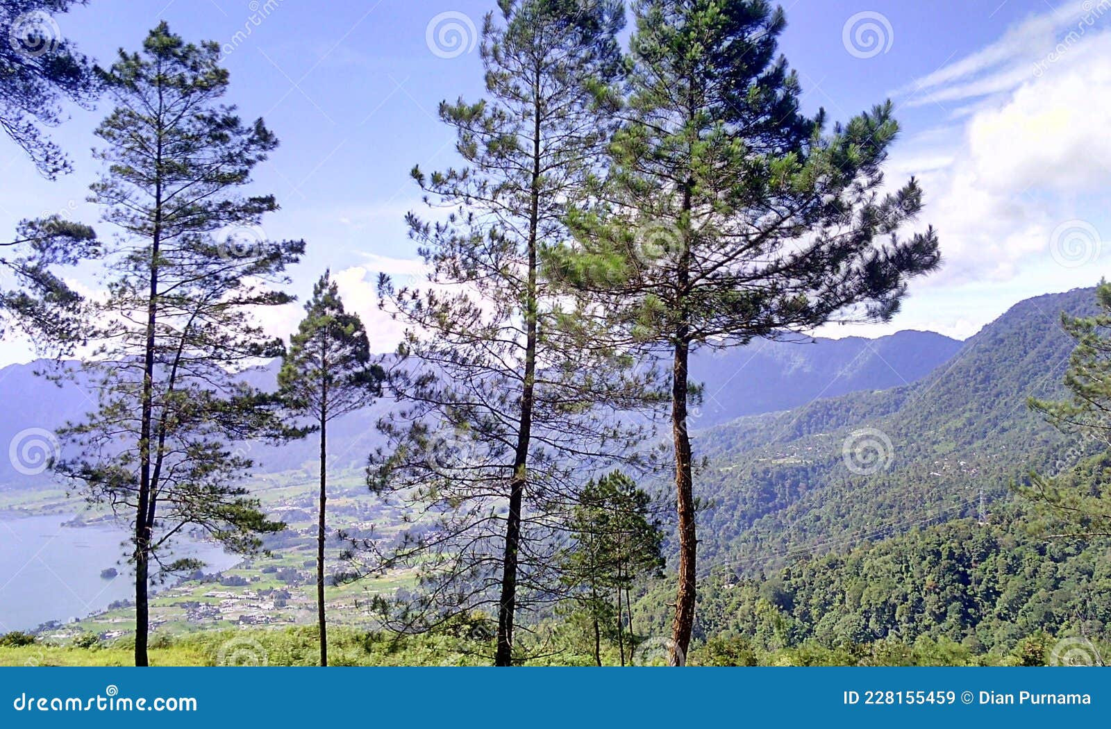 Trees in the Hills of the Island of Sumatra Stock Image - Image of leaf ...