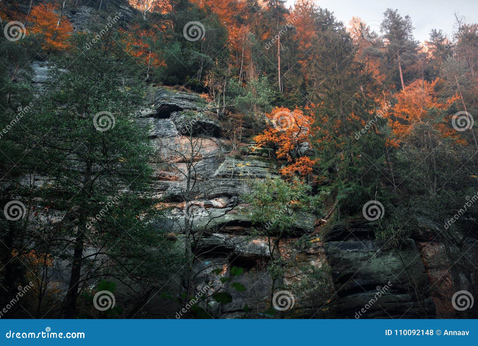 The trees on the hillside stock photo. Image of travel - 110092148