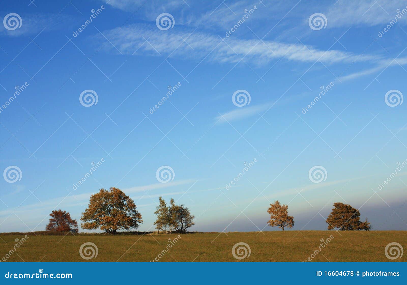 Trees on the horizon stock photo. Image of cloud, dream - 16604678