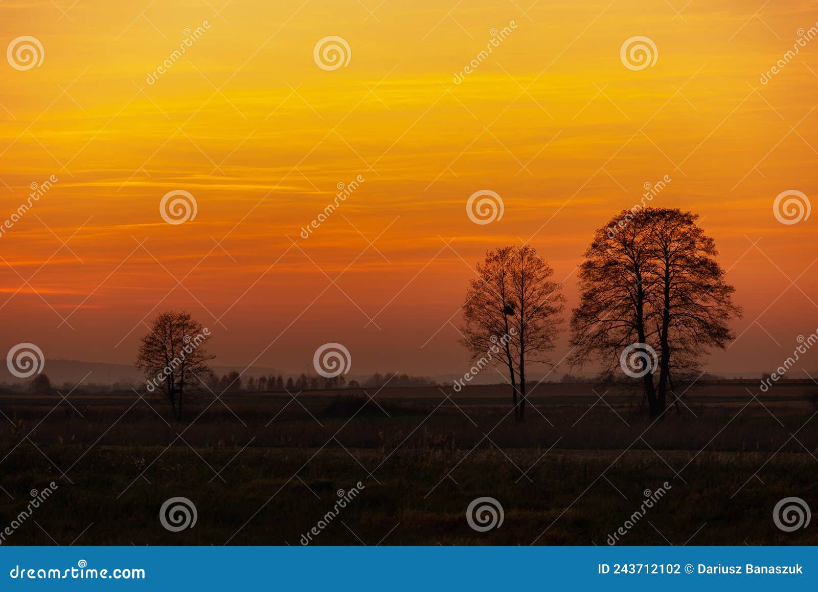 Trees on the Horizon and Clouds during Sunset Stock Photo - Image of ...