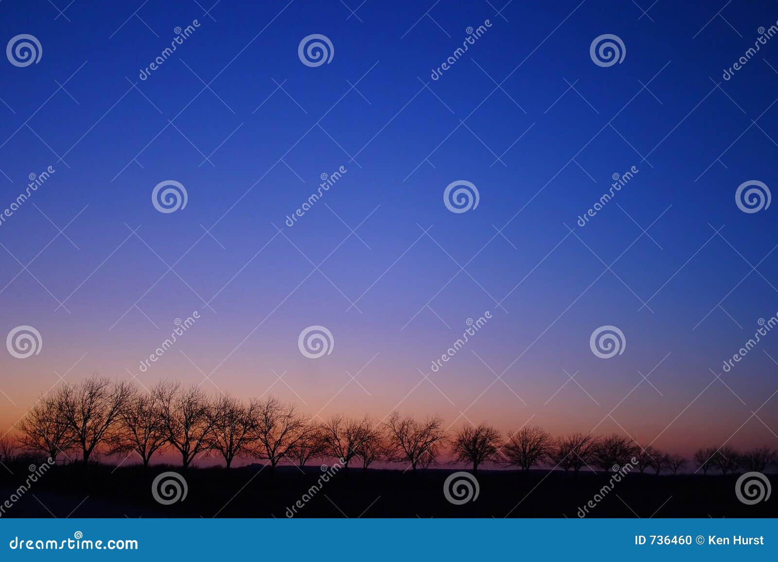 Trees on Horizon at Sunset Ver1 Stock Photo - Image of drive, scenic ...