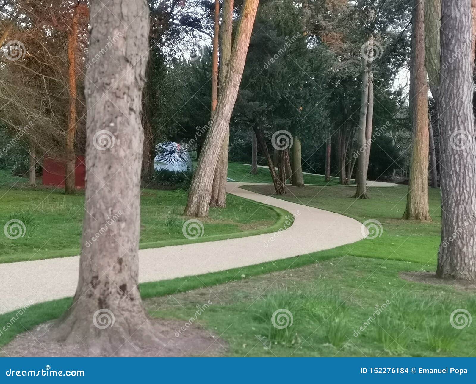 The trees hugging an alee stock photo. Image of hugging - 152276184