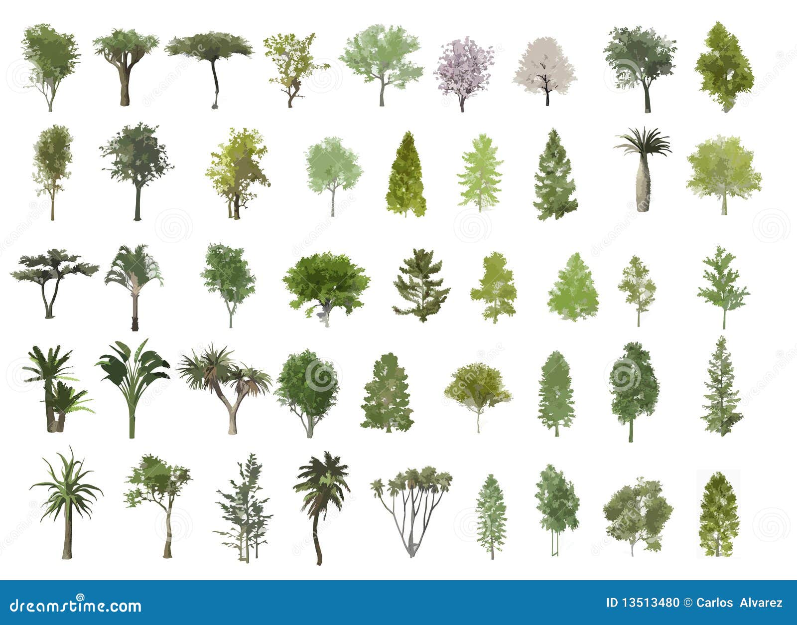 Trees illustration stock vector. Illustration of beautiful - 13513480