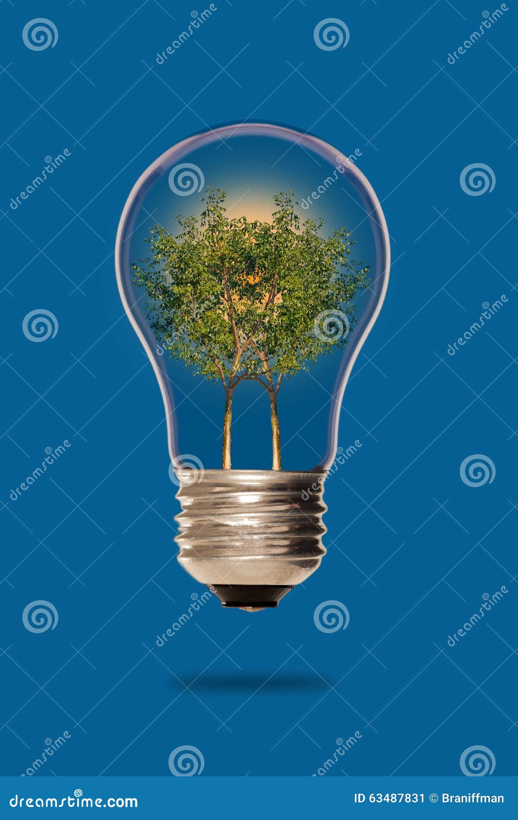 Trees inside a light bulb stock image. Image of electric - 63487831