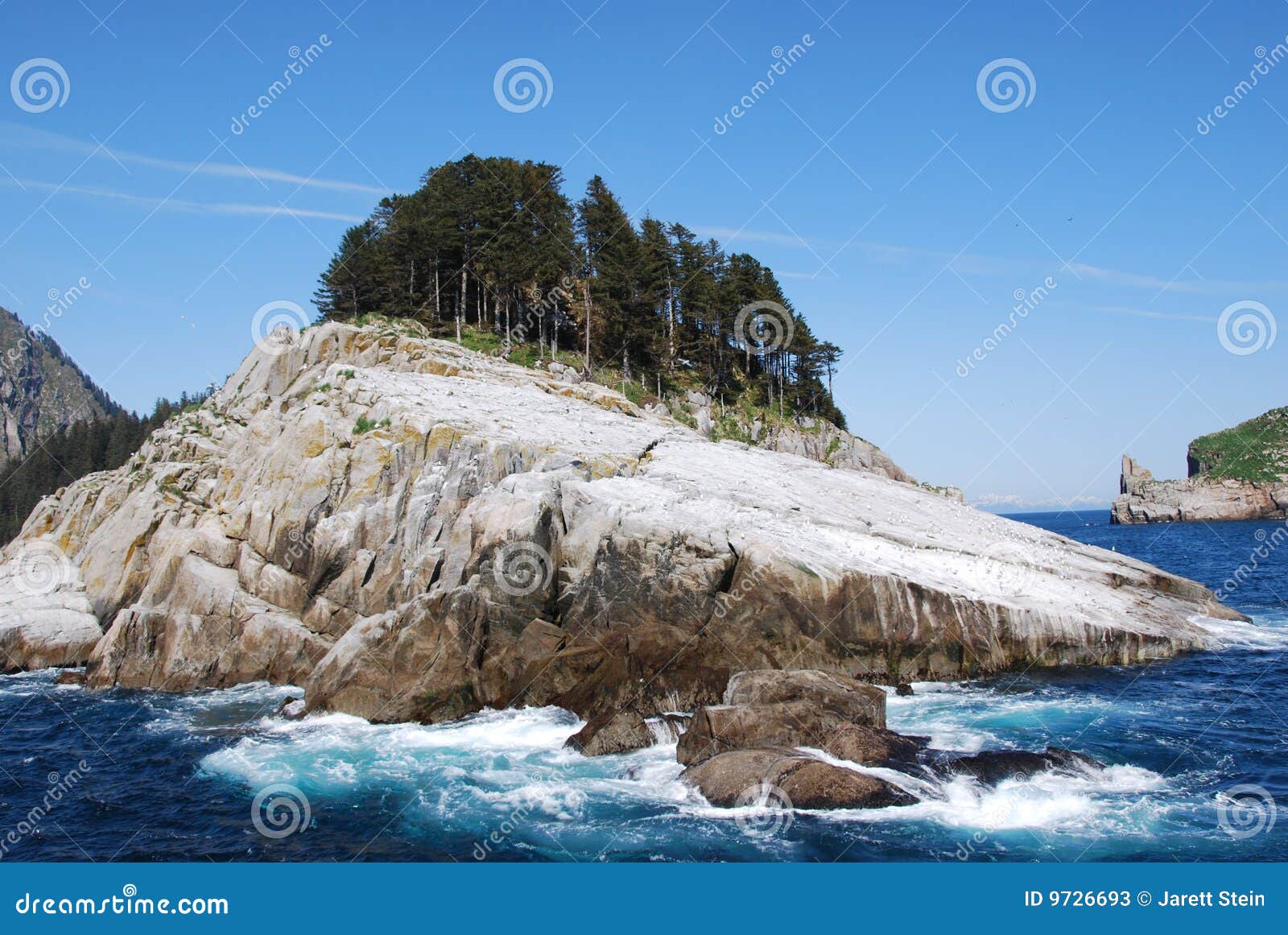 Trees on island rock stock image. Image of solitude, island - 9726693