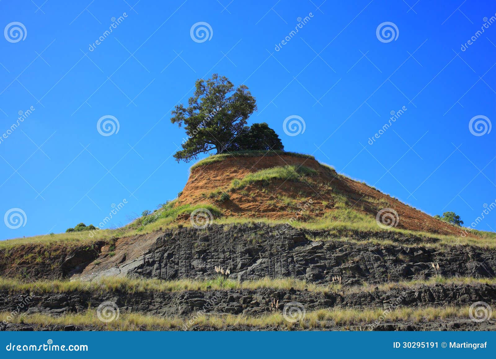 Tree on Hill of Mining Area in Australia Stock Image - Image of ...