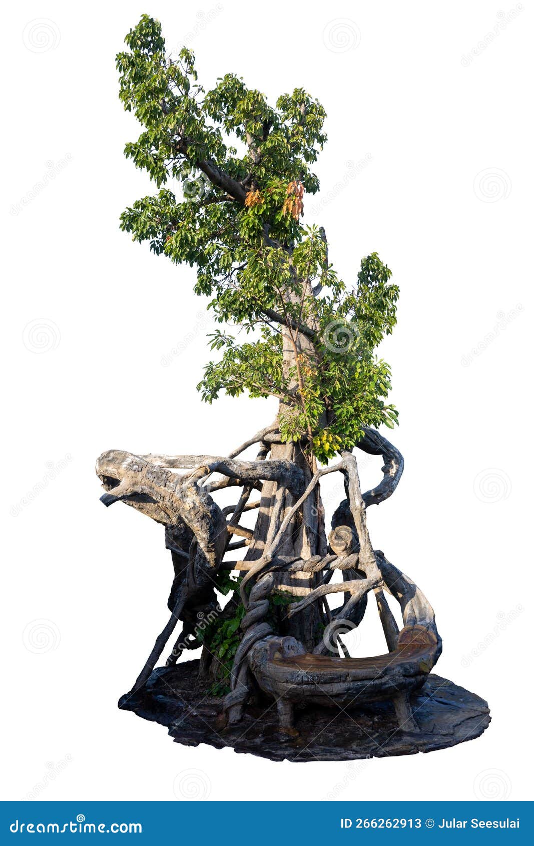 Trees Isolated Adapted for Seating To Relax on a White Background ...