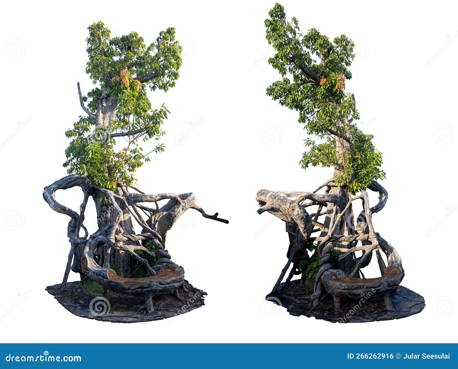 Trees Isolated Adapted for Seating To Relax on a White Background ...