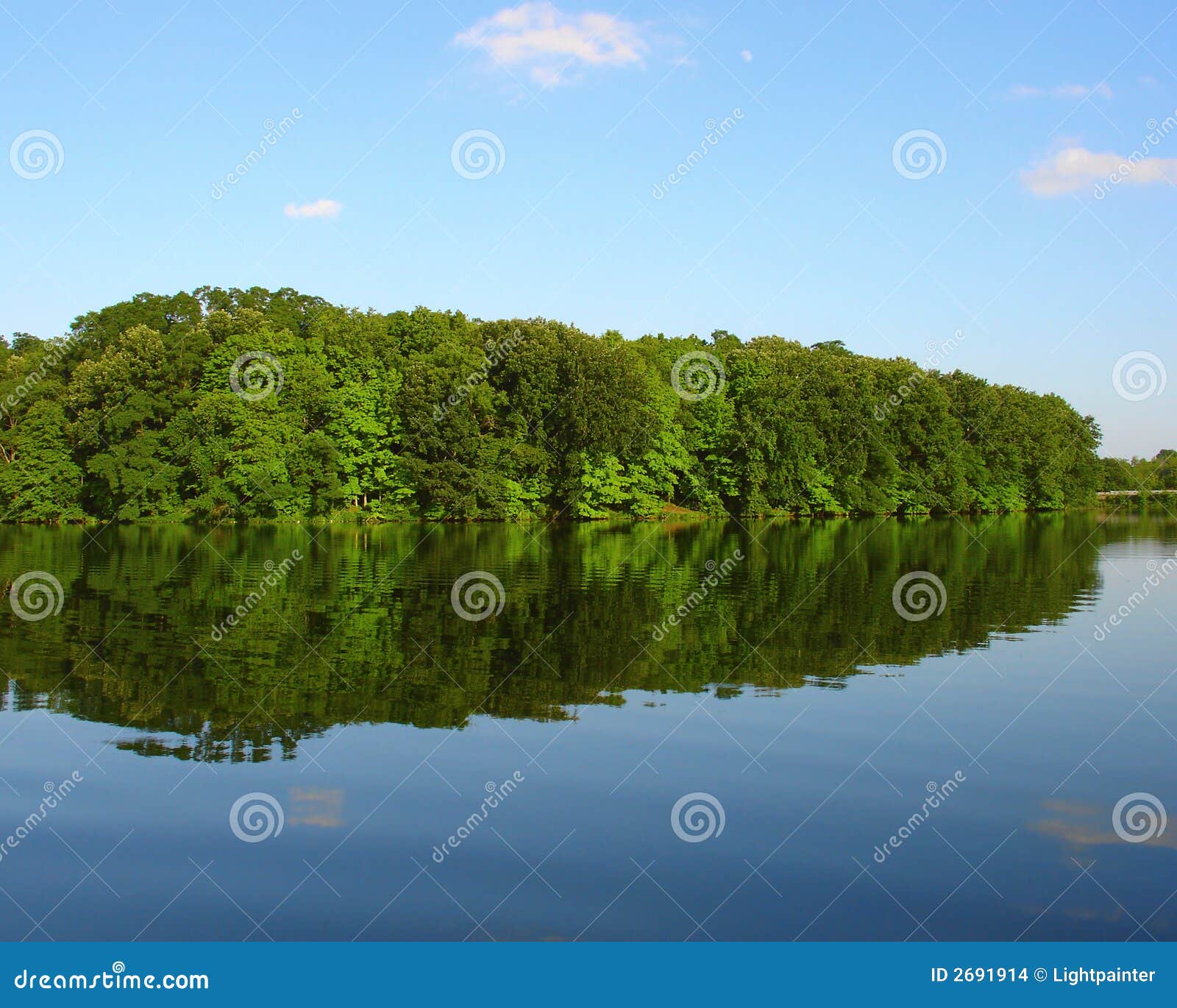 Trees at the lake stock photo. Image of forest, beauty - 2691914