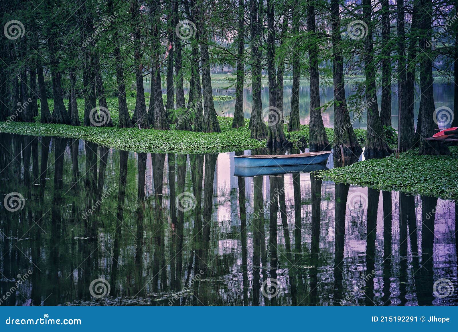 Trees with lake and boat stock image. Image of lake - 215192291