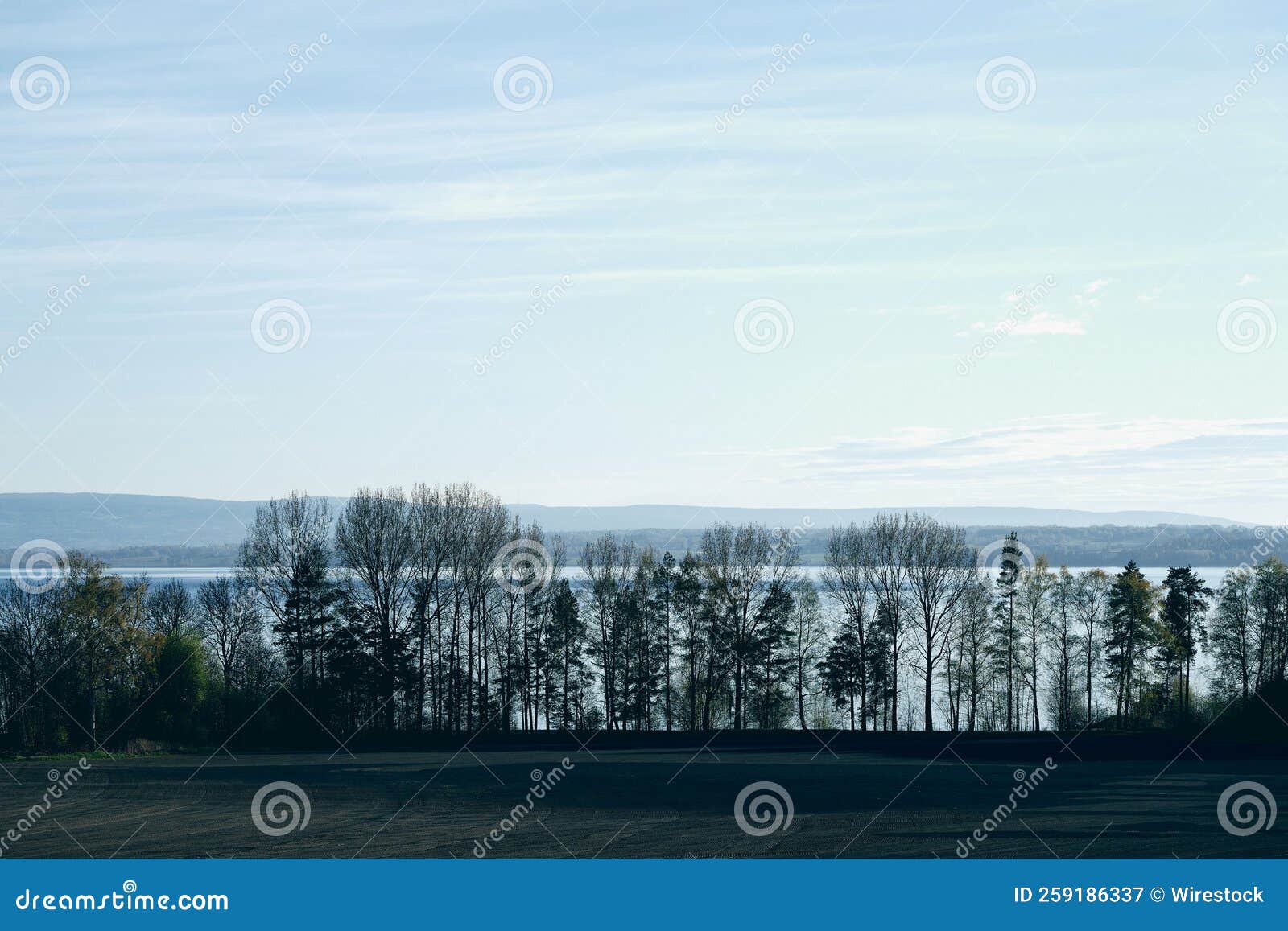 Trees by Lake Mjosa, Norway Stock Image - Image of dried, wallpaper ...