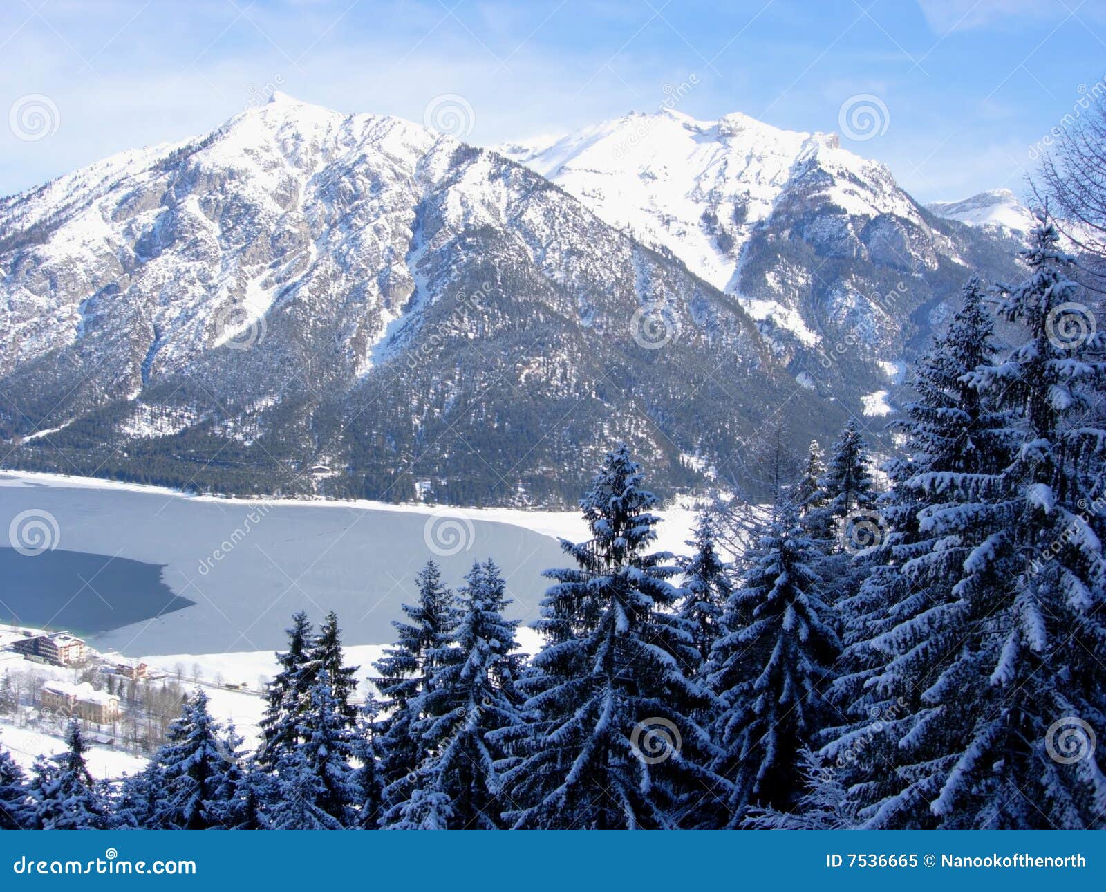 Trees lake and mountains stock image. Image of crisp, capped - 7536665
