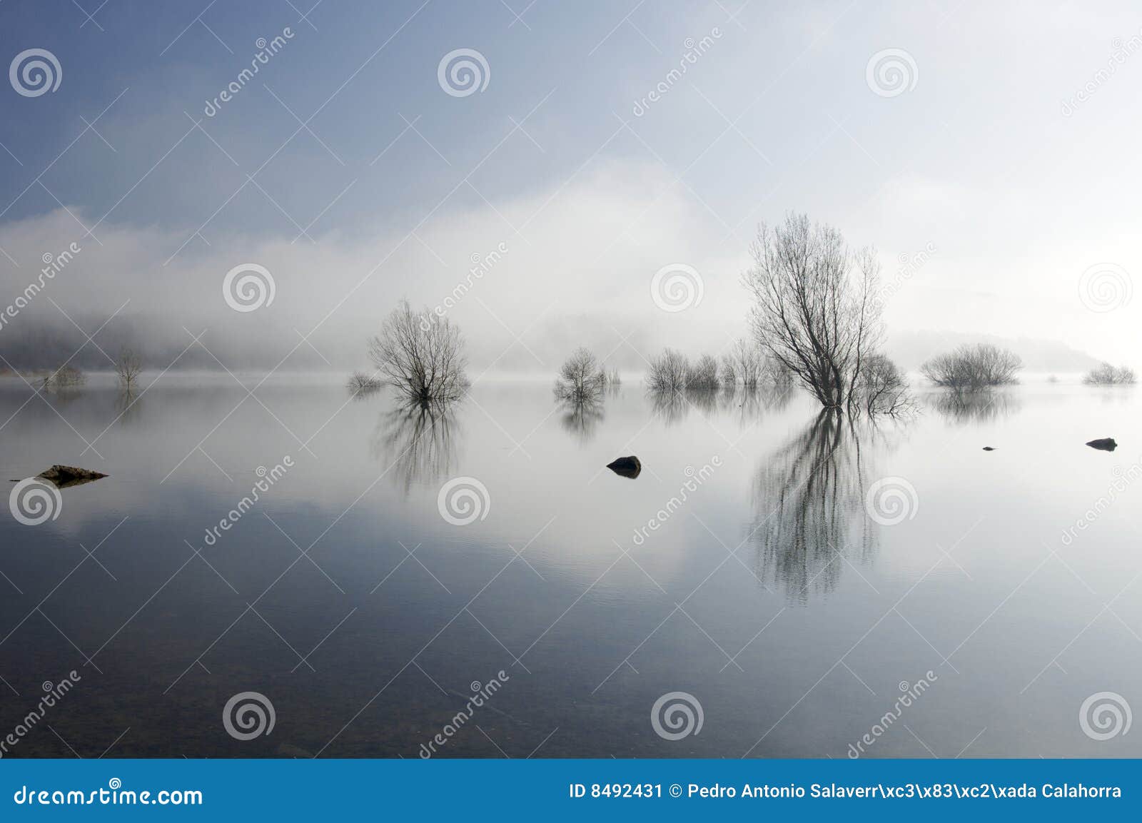 Trees and Lake with Reflections Stock Image - Image of rocks ...