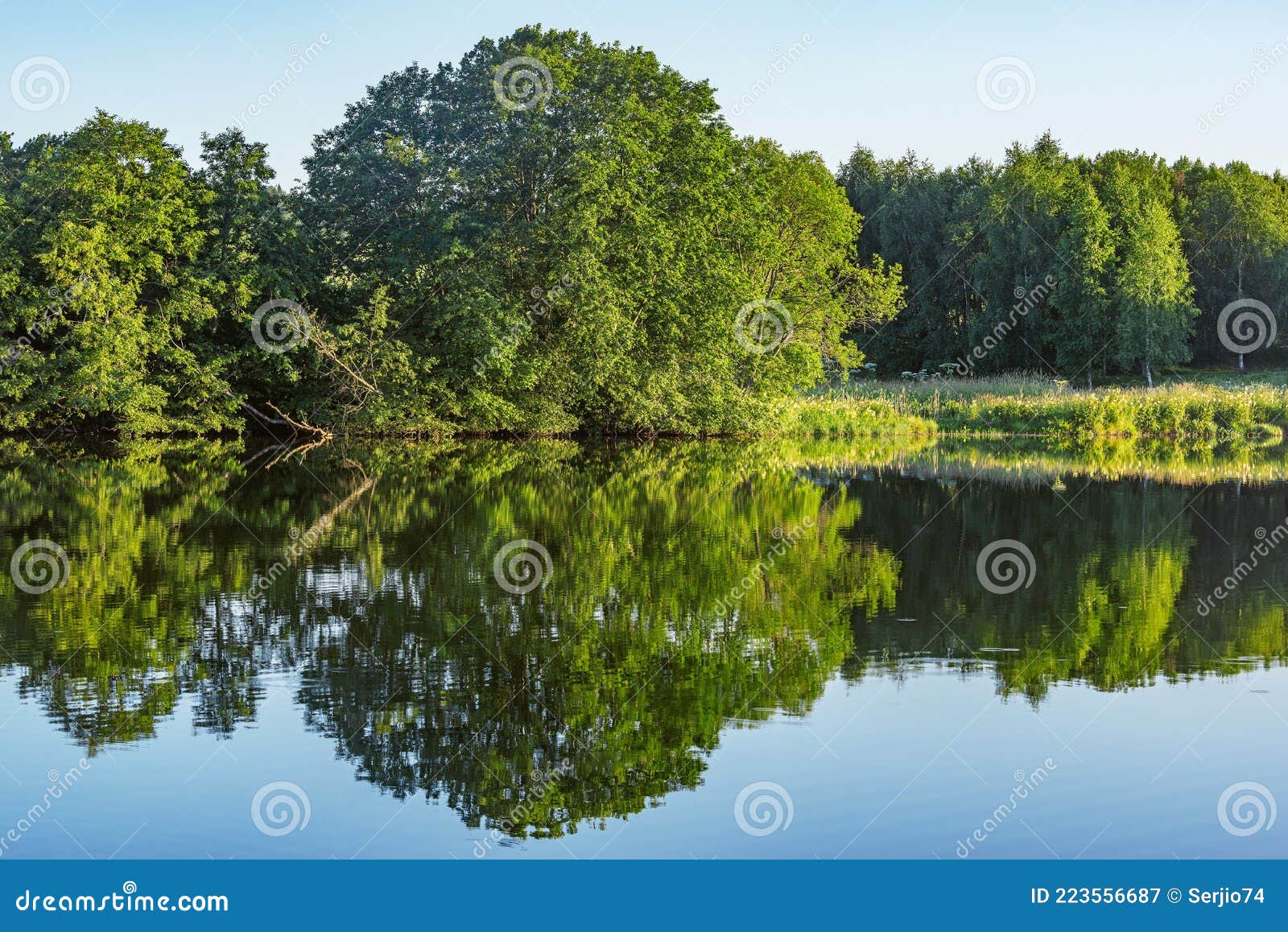 Trees by the Lake at Sunset Stock Image - Image of natural, twilight ...