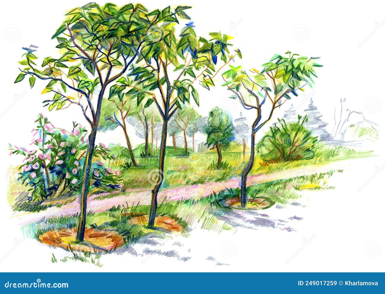 Trees. Landscape Drawing with Colored Pencils Stock Image - Image of ...