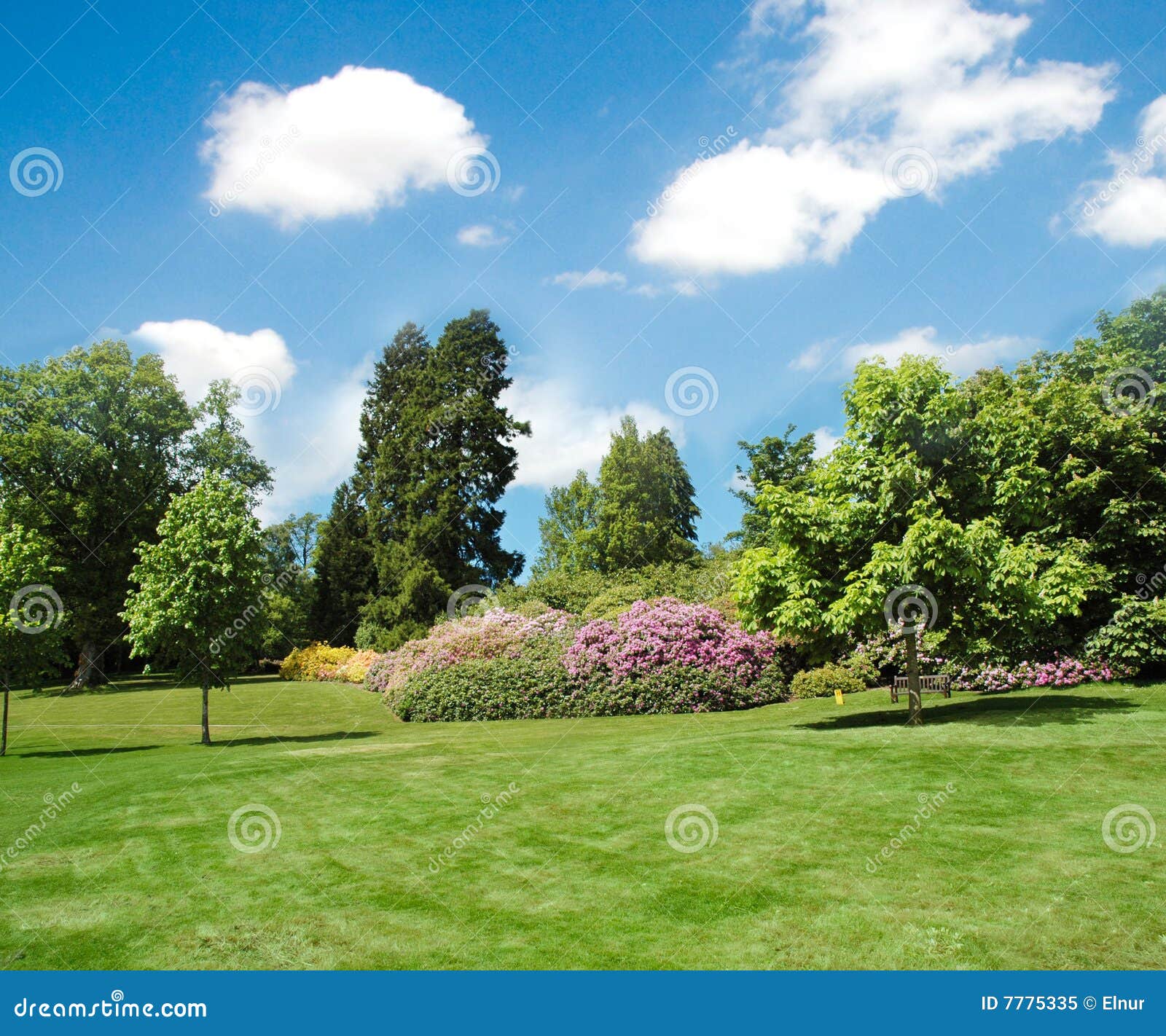 Trees and lawn stock image. Image of flowers, background - 7775335