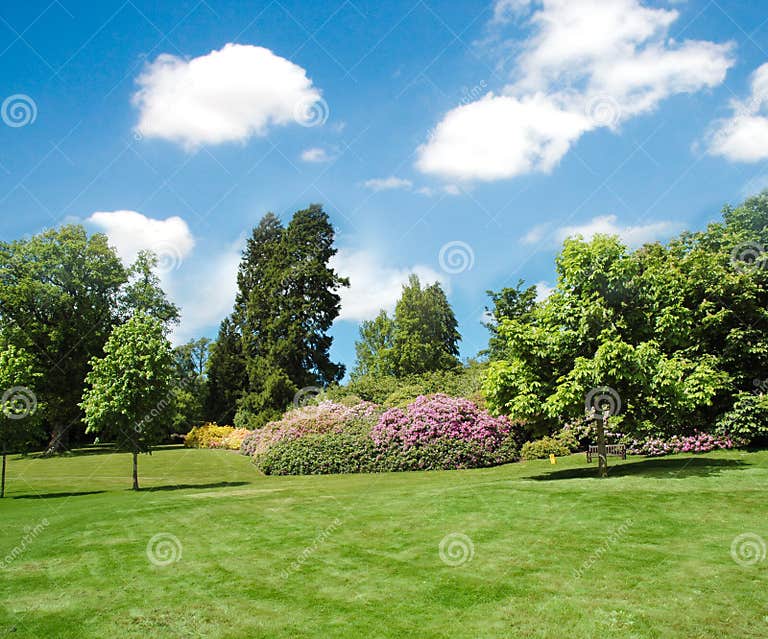 Trees and lawn stock image. Image of flowers, background - 7775335