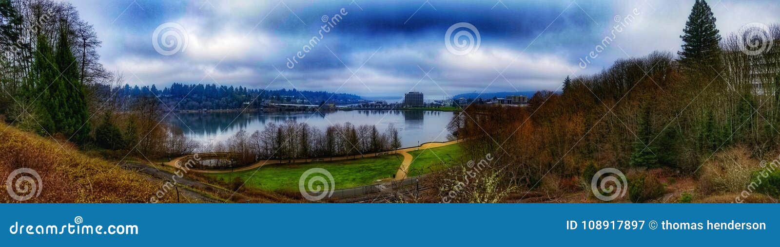 Trees of life with water stock image. Image of life - 108917897
