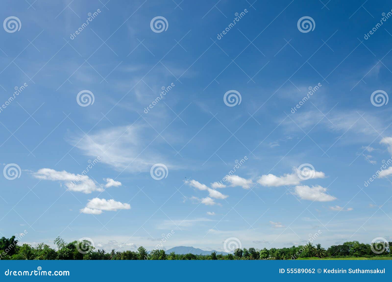 Trees line and blue sky stock photo. Image of atmosphere - 55589062