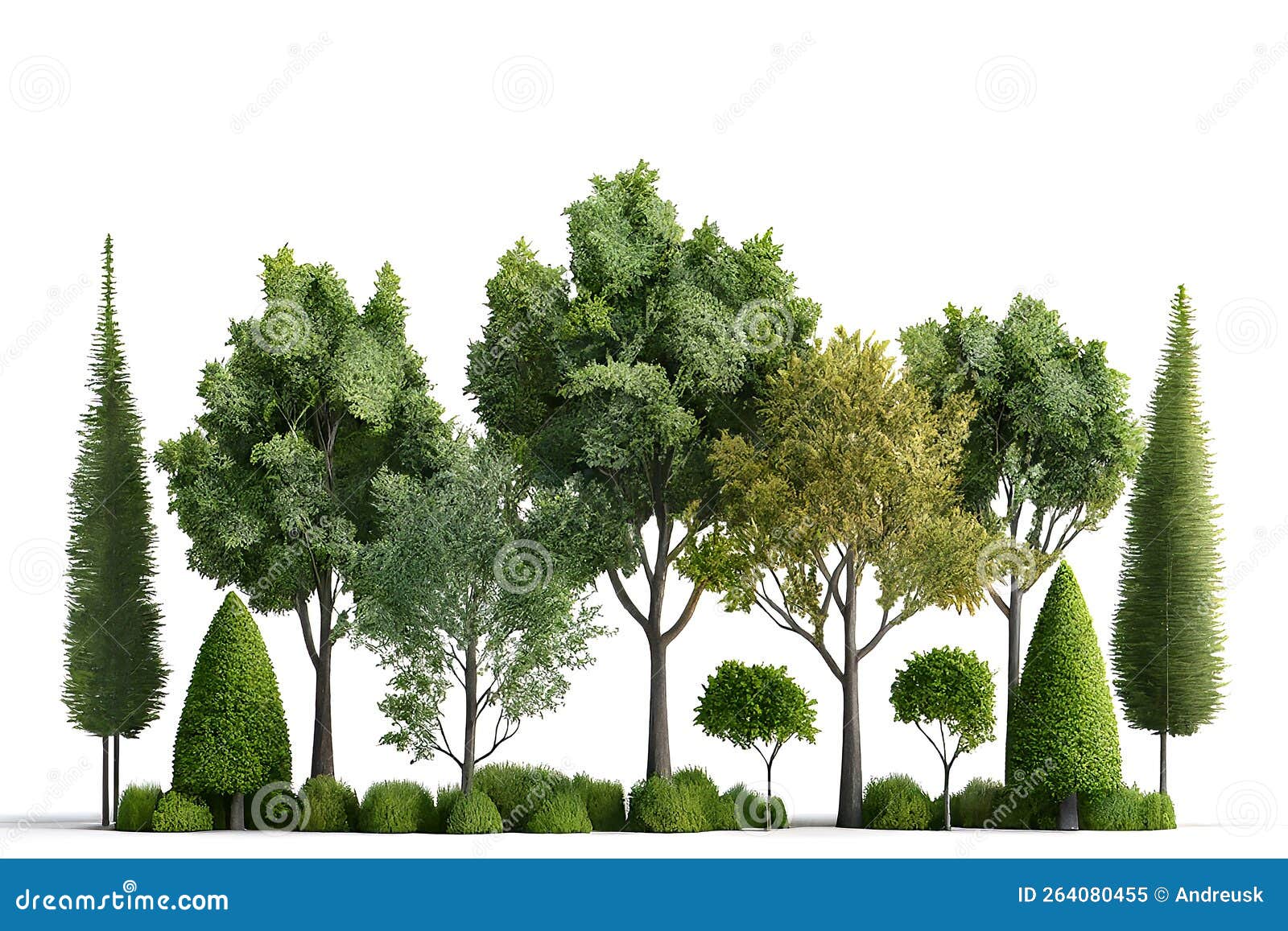 Trees Line Garden Isolated on White Background, 3D Illustration Stock ...